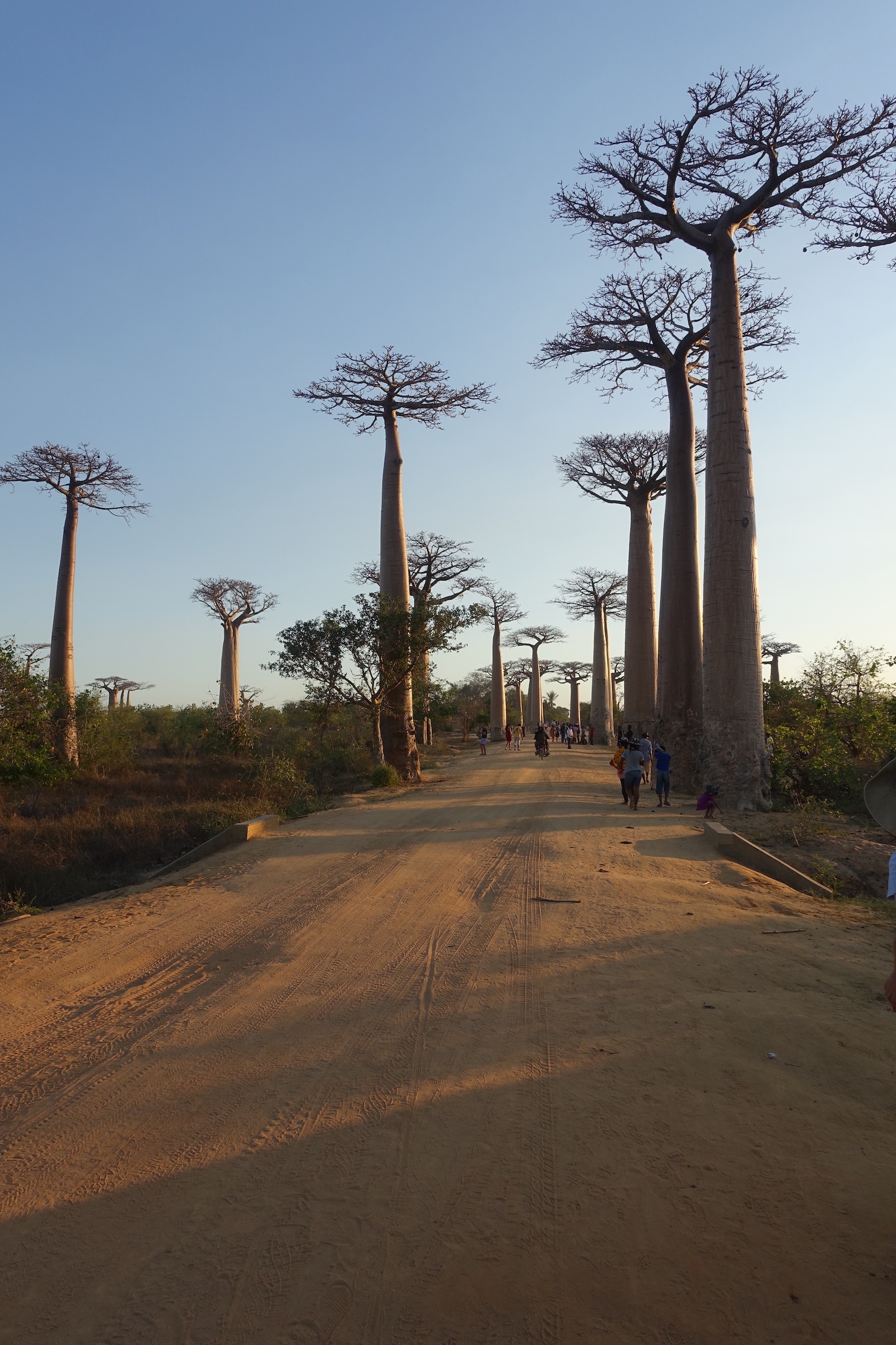 Madagascar - GILIGILI